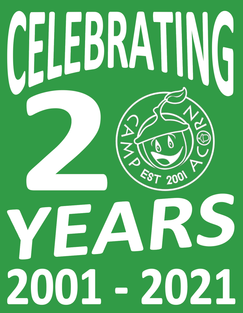 202 6 Summer Camp Enrollment and Volunteers
